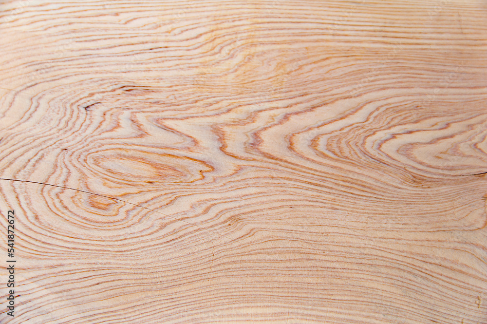 Texture of a longitudinal section of a tree trunk. background image ...