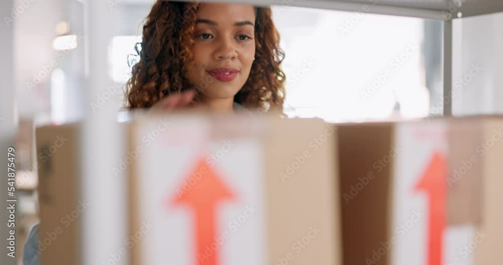 Vidéo Stock Woman, logistics and shipping boxes on storage shelves in ...