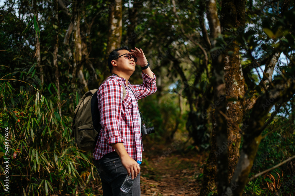 Young trekking man standing on trail in nature forest Stock 写真 | Adobe ...