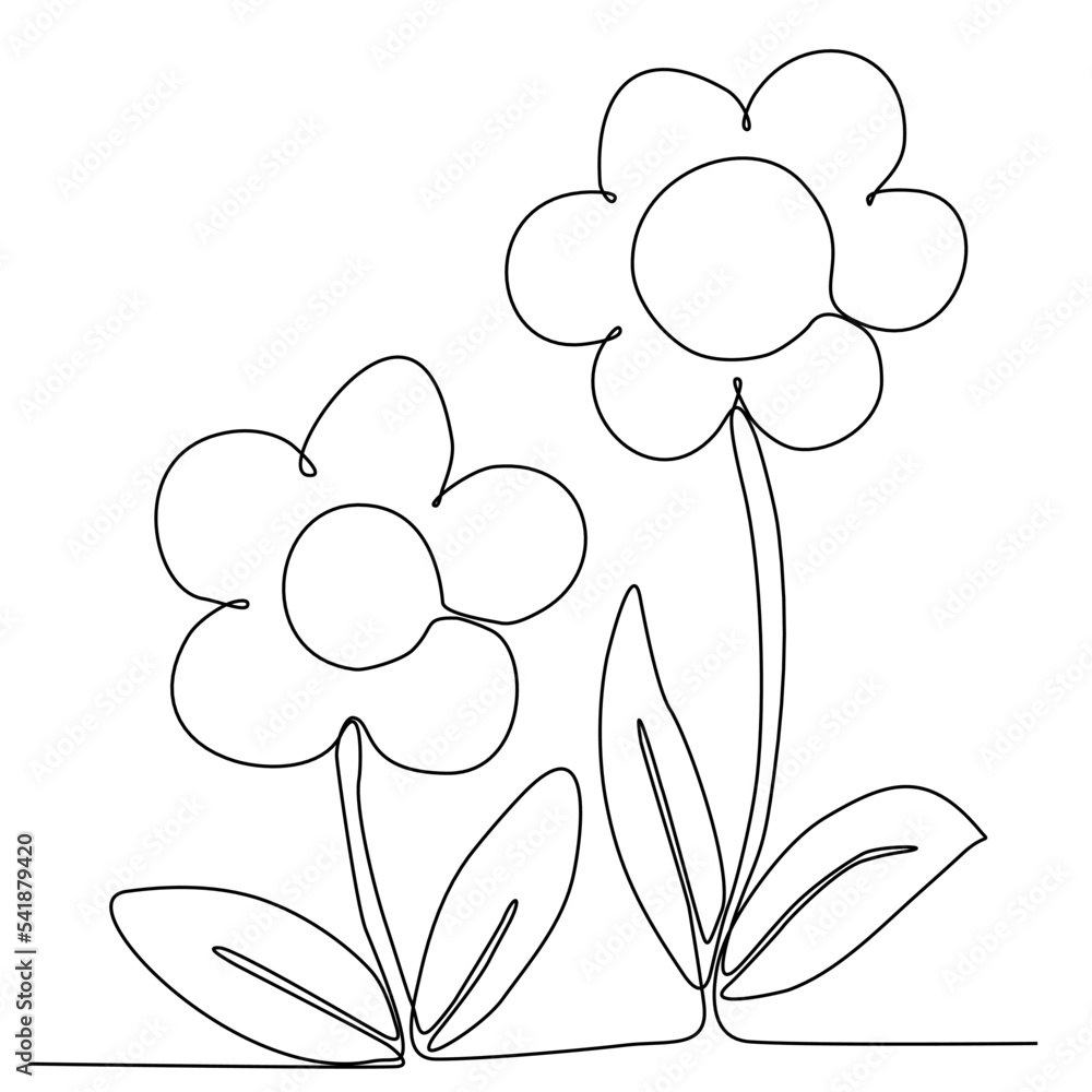 Abstract cosmos line drawing on white background. flower line drawing ...
