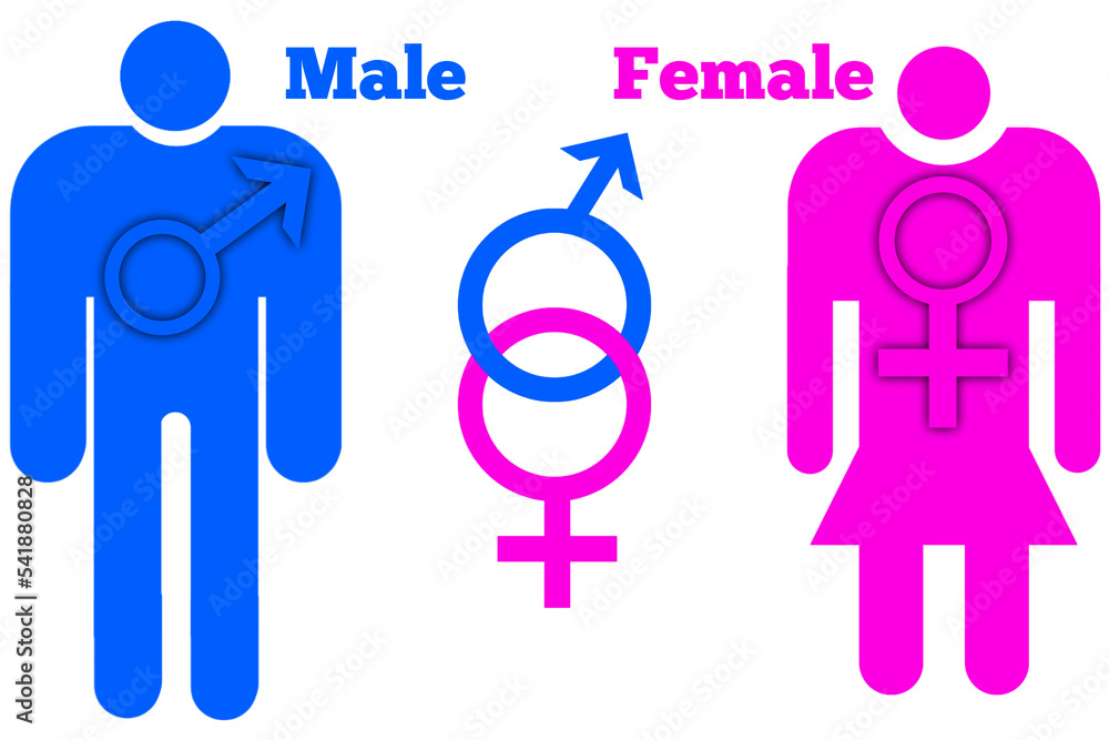 Male Female Sexual Orientation Icon Symbol Shape Sign Logo Website ...