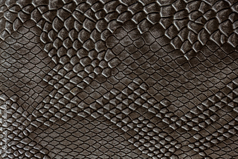 Beautiful dark gray python skin, reptile skin texture, snake skin close ...