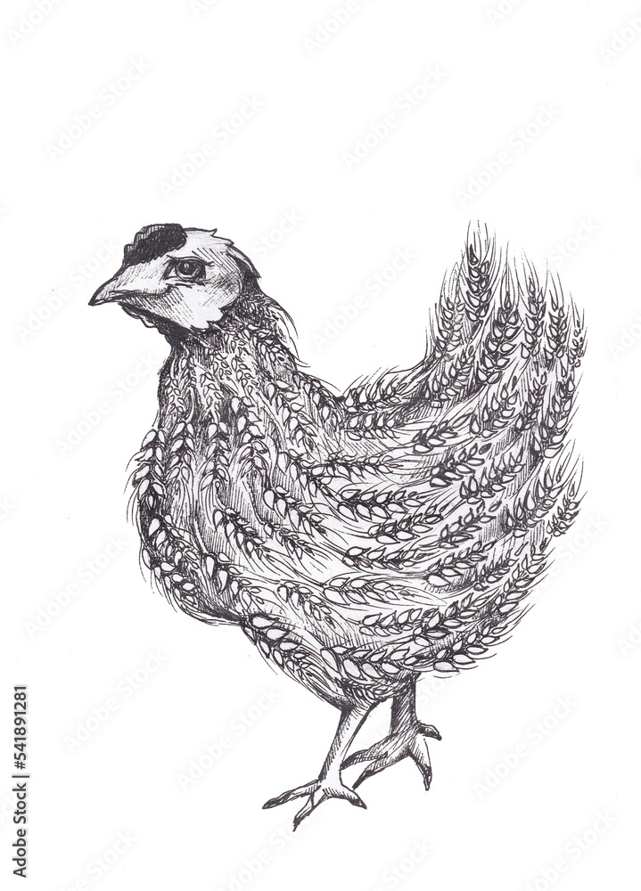 Hen illustration . Beautifully draw of a stylized hen with corned beef ...