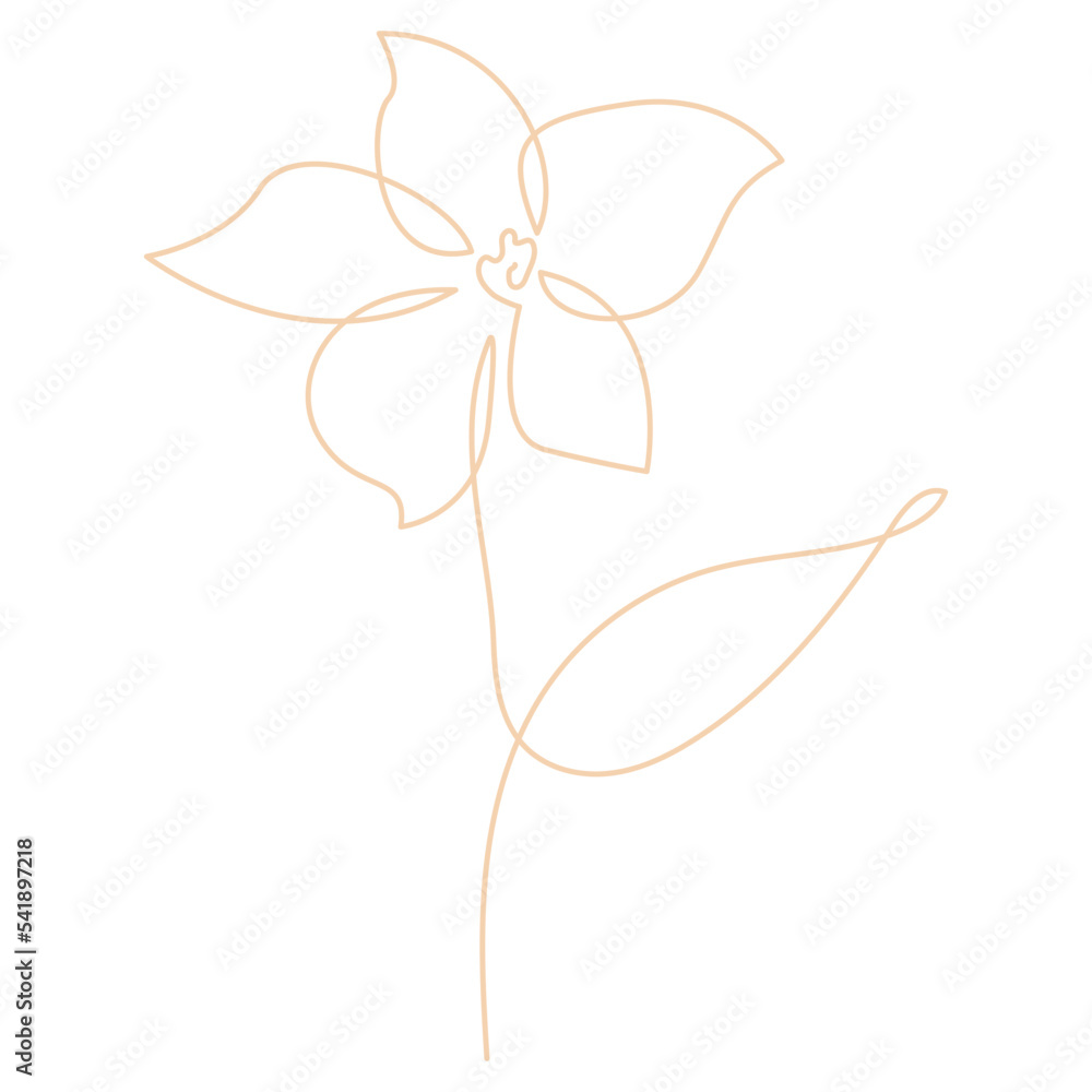 Aesthetic Flower Line Art Design Illustration Stock ベクター | Adobe Stock