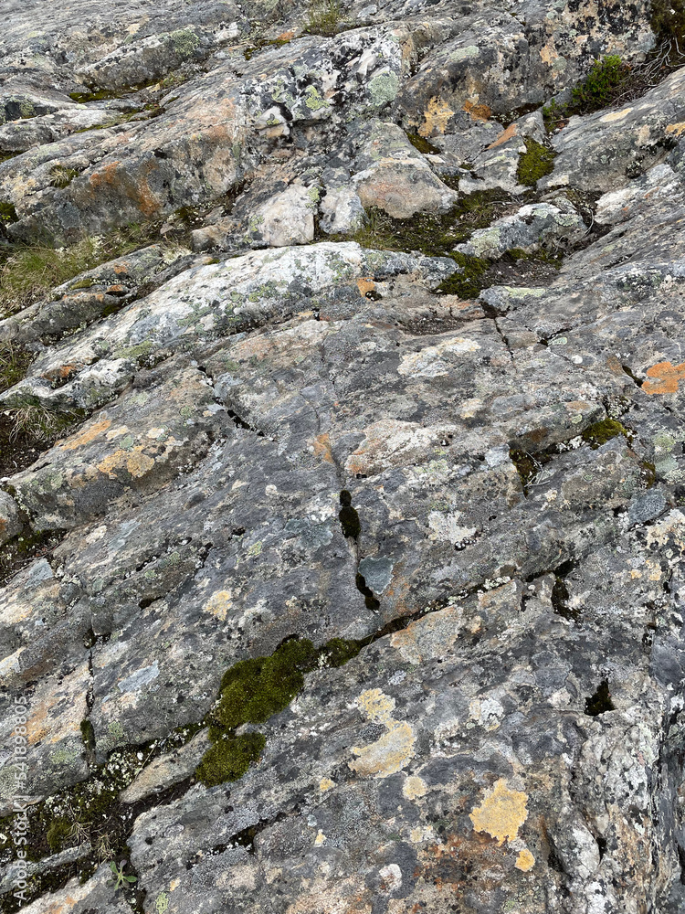 Stone rock boulder texture seaside landscape northern nature Stock ...