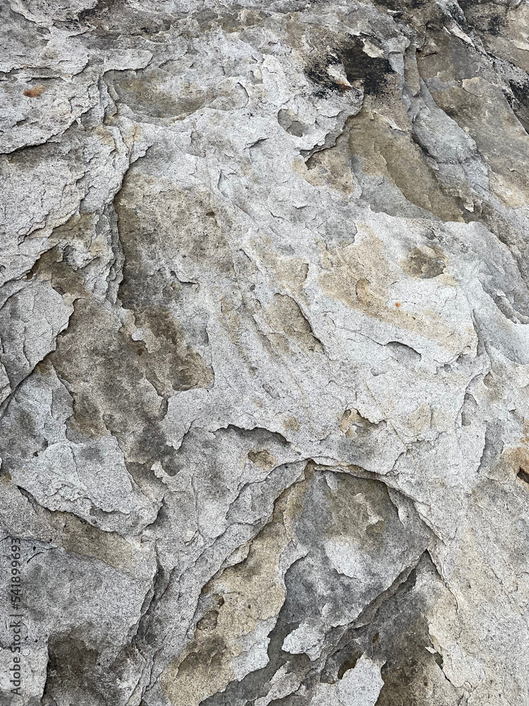 Stone rock boulder texture seaside landscape northern nature Stock ...