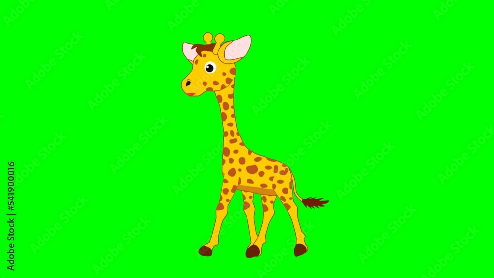 Cartoon cute giraffe 2d animation green screen background Stock Video ...