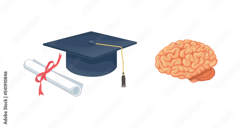 Graduation cap with rolled diploma and human brain vector illustration ...