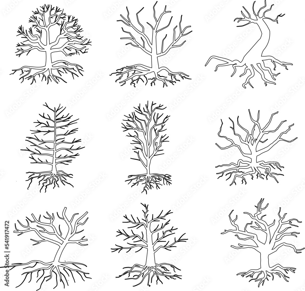 Old dark trees with roots, dead forest trees outline vector ...