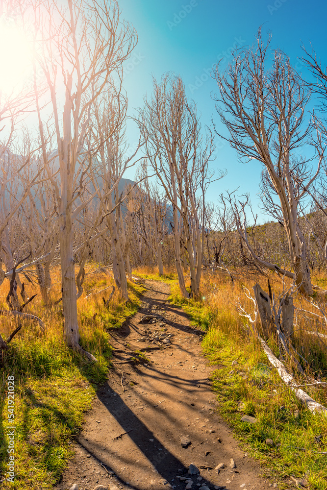 Hiking trail against sunlight towards major peaks, standing high towers ...
