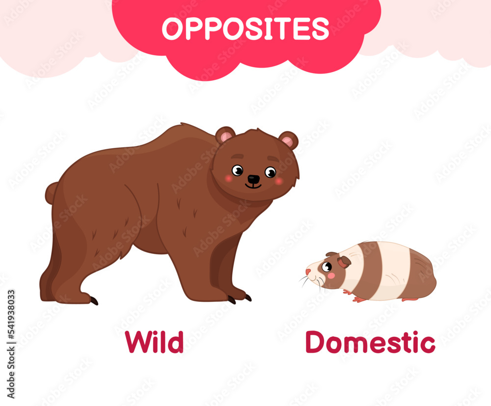 Vector learning material for kids opposites wild domestic. Cartoon ...