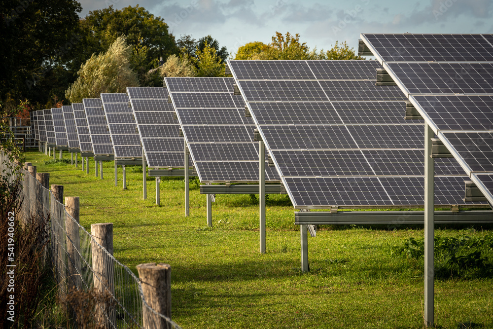 Field with solar cells, large solar panel park in The Netherlands Stock ...