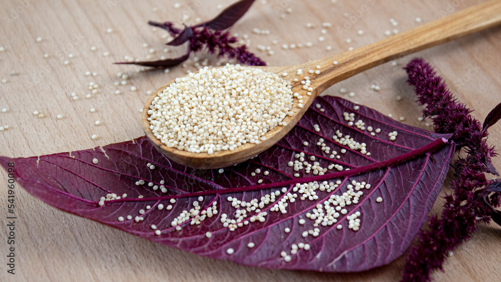 Amaranth grains in a wooden spoon. Purple leaves and amaranth ...