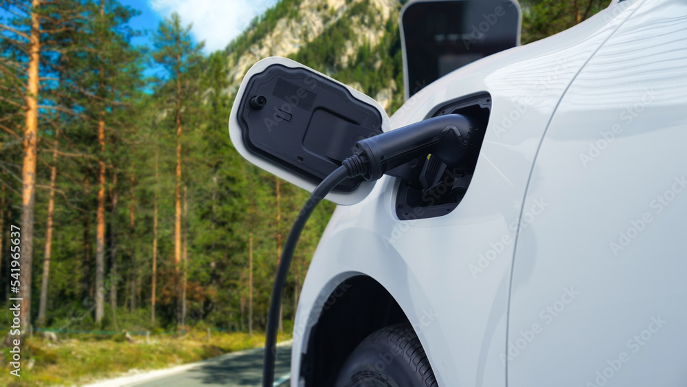 Progressive campaign to increase environmental awareness of electric ...