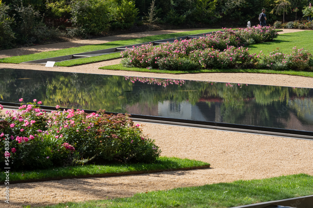 reflection of the surrounding shrubbery in a still water mirror pond ...