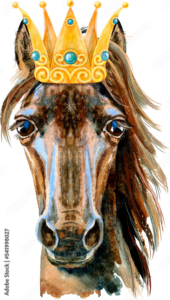 Horse in gold crown. Watercolor illustration isolated Stock ...