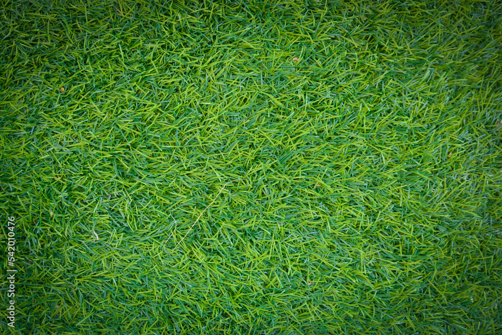 Green grass texture background Top view of bright grass garden Idea ...