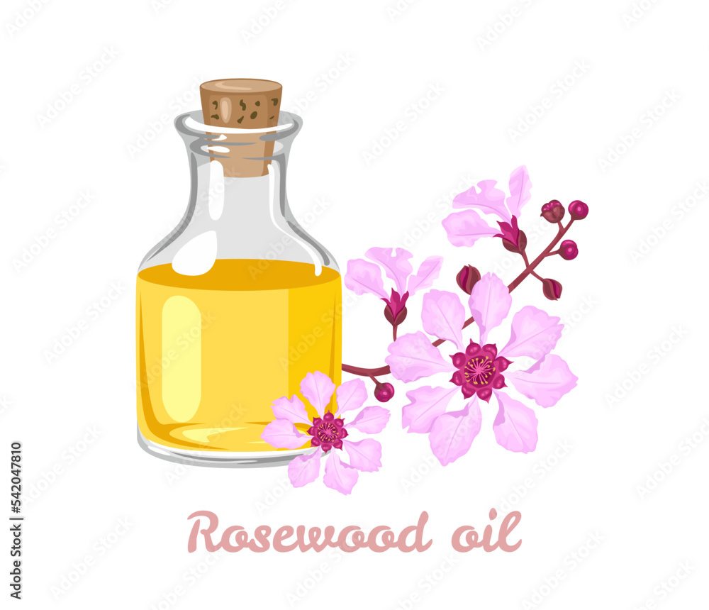 Rosewood essential oil in glass bottle and pink flowers. Floral vector ...