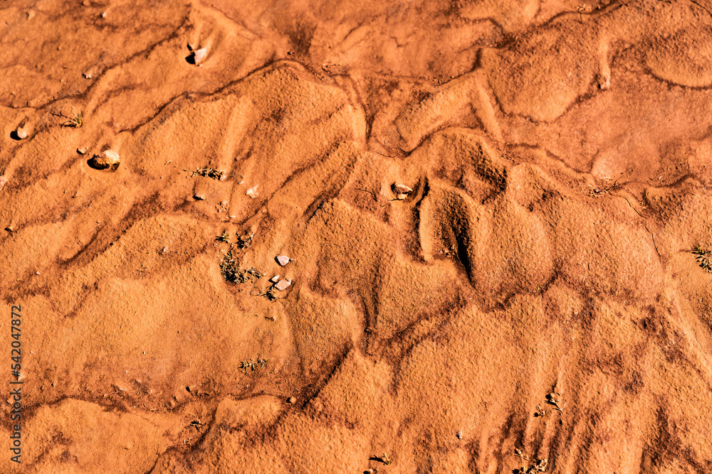 Dry sand texture. Dried land suffering from drought. Effects of climate ...