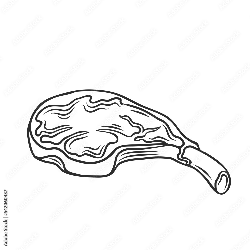 Beef steak outline icon vector illustration. Line hand drawn raw slice ...