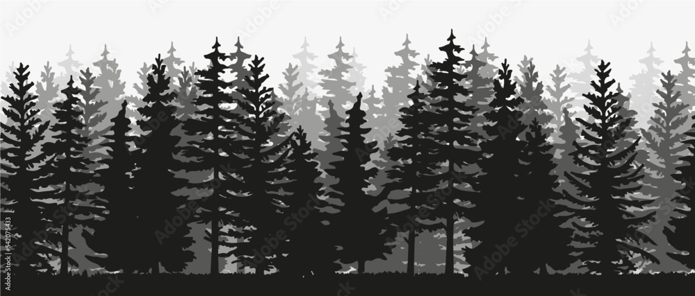 Spruce treeline silhouette landscape. Pine tree silhouette landscape ...