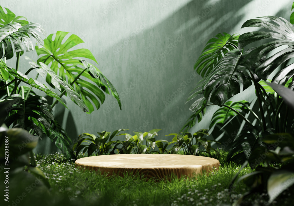 Wooden product display podium in green room with grass flowers and ...