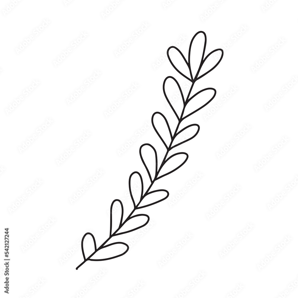 Hand drawn minimalist branch with round leaves. Black contour line ...