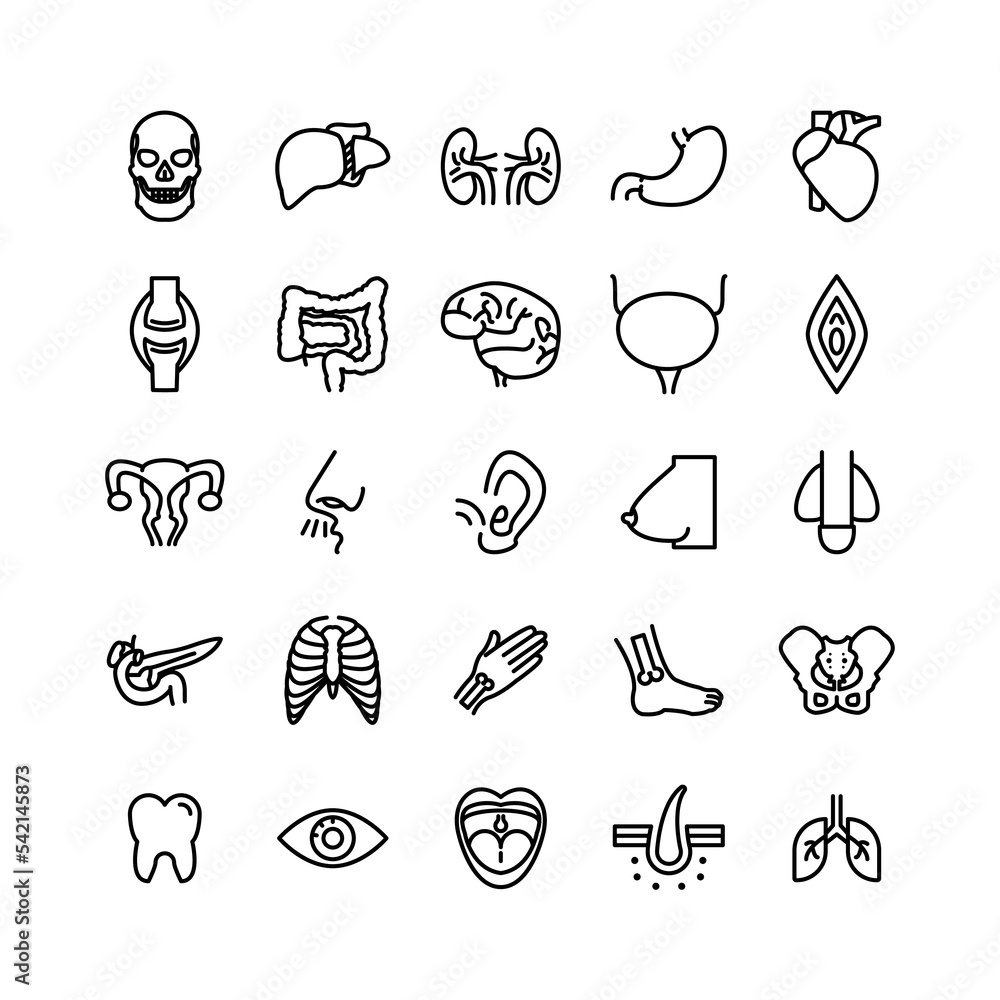 Human Organs Outline Icon Sheet Stock Vector | Adobe Stock