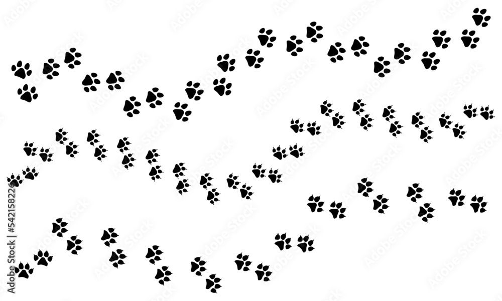 Paw foot trail. Cat and dog walk track silhouette, wild animal and pet ...