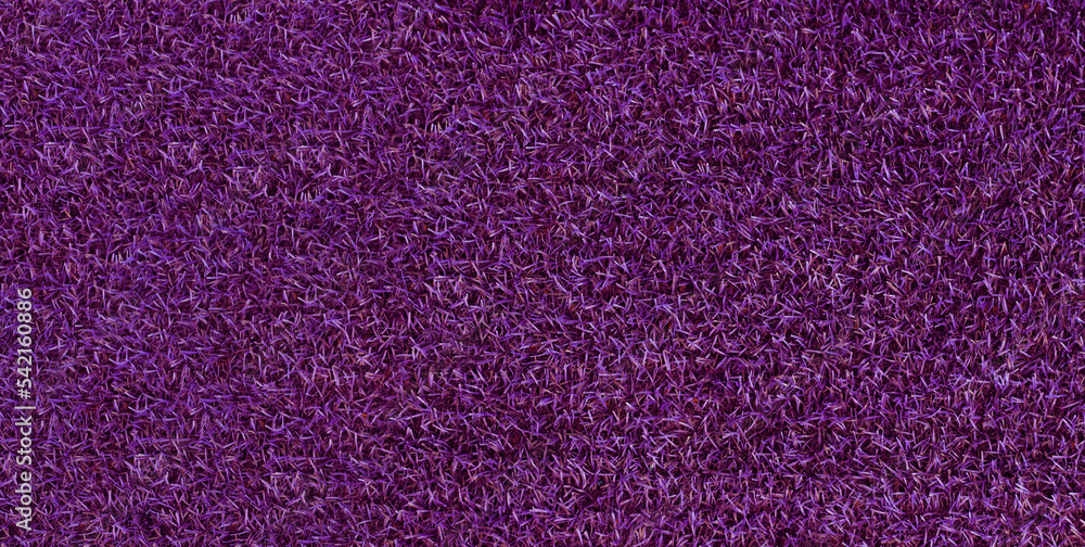 Purple Grass Texture Background Grass Garden Concept Used For Making Violet Background Football