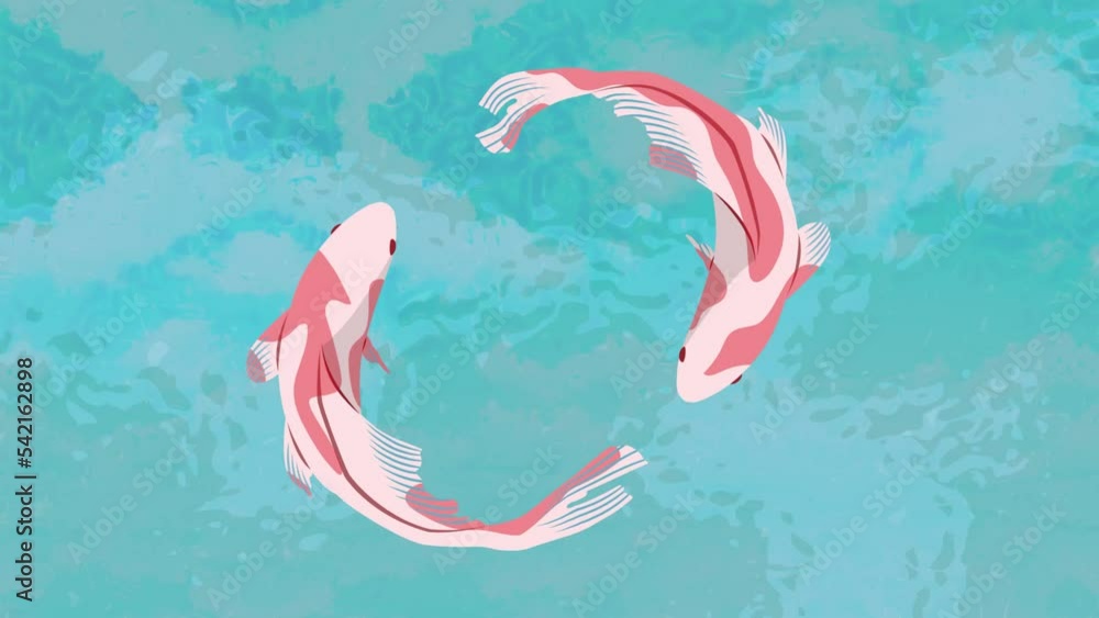 Koi fish in blue water animated cycle movement, sky reflection, ripples ...