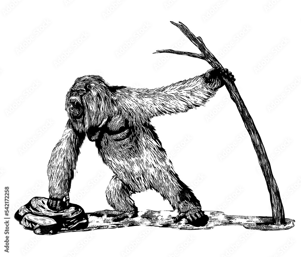 Prehistoric primates gigantopithecus. Giant orangutan. Ancestors of ...