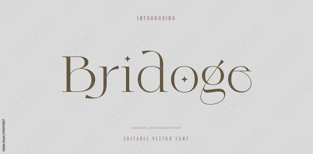 Bridge text luxury wedding alphabet letters font template. Typography ...