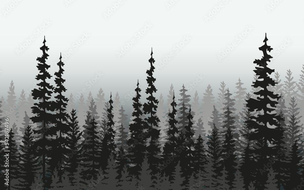 Spruce treeline silhouette landscape. Pine tree silhouette landscape ...