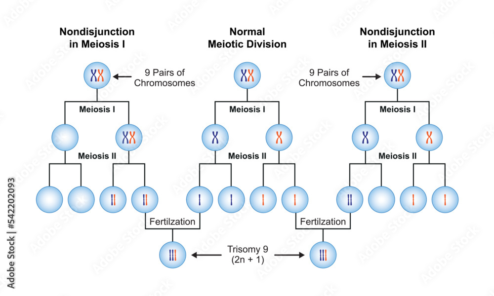 Scientific Designing of Nondisjunction in Trisomy 9. Colorful Symbols ... Scientific Designing of Nondisjunction in Trisomy 9. Colorful Symbols ...