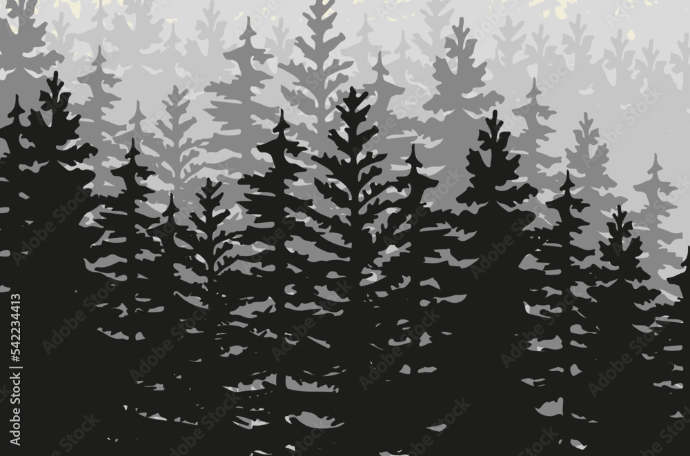Spruce treeline silhouette landscape. Pine tree silhouette landscape ...