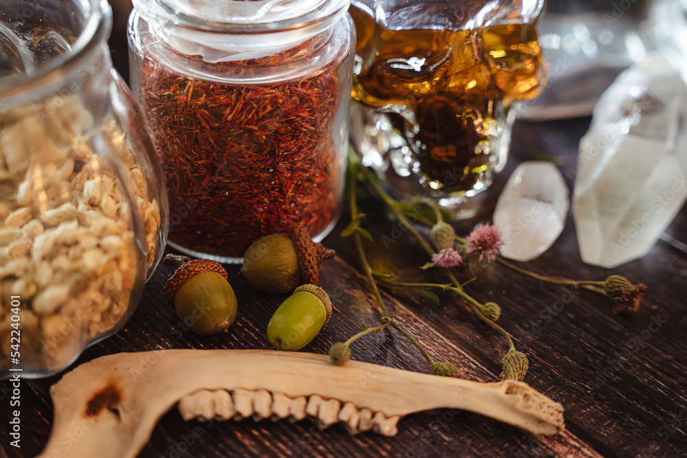 Soft focus background. Occult altar with crystals, herbs and old bone ...