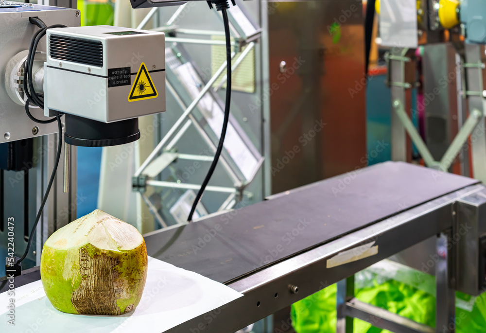 laser marking or engraving machine for write letter or various graphic ...