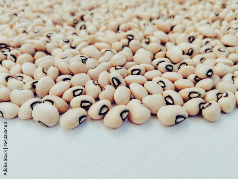 Cowpea blackeyed pea seeds white lobia a legume pulse an edible bean a ...