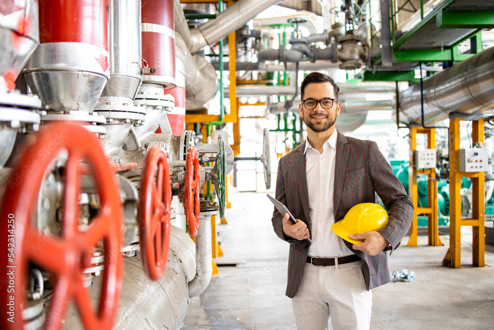 Portrait of an elegant factory manager standing inside boiler room of ...