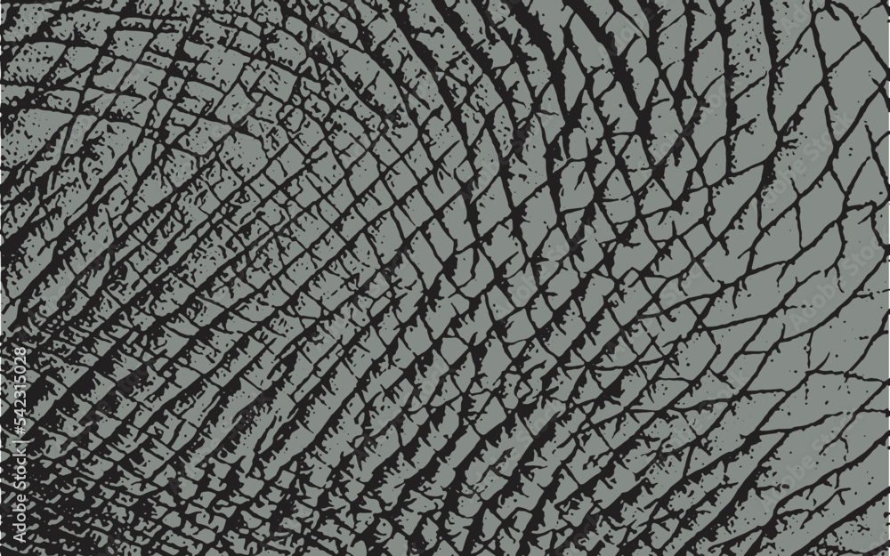 Elephant Skin Print