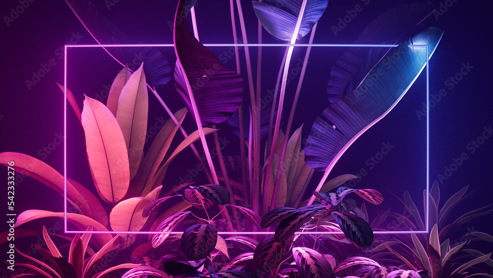 Tropical Plants Illuminated with Blue and Pink Fluorescent Light ...