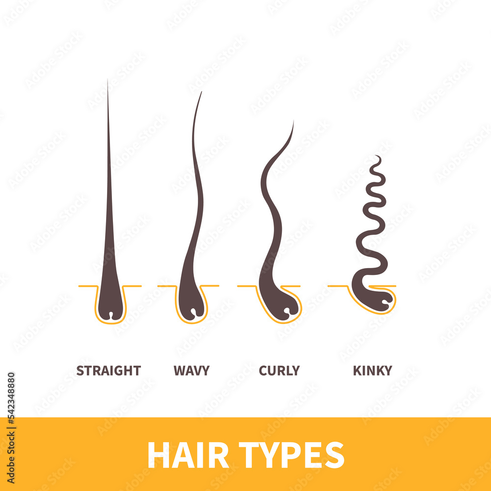 Straight Wavy Curly Kinky Hair Types Classification System Set