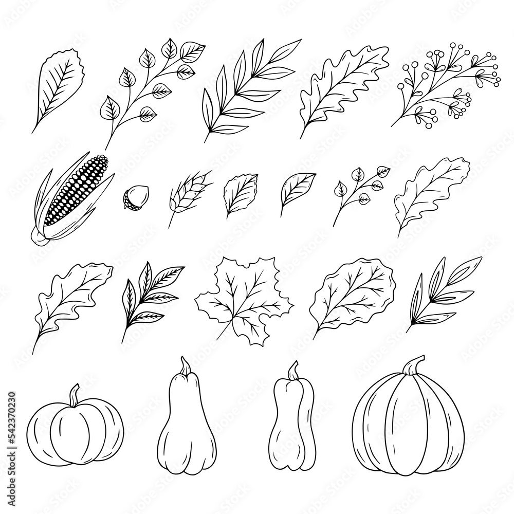 Autumn objects hand drawn collection isolated on white background ...