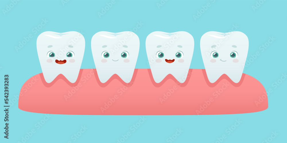 Cartoon teeth row in the gum. Cute dental illustration with healthy ...