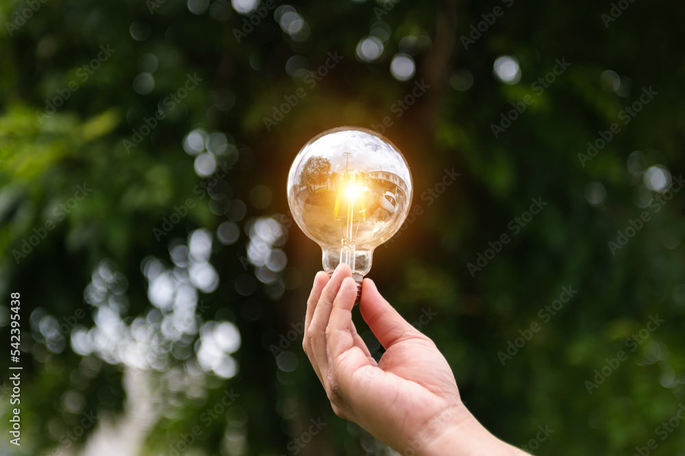 Hand holding light bulb on grass with solar energy and green background ...