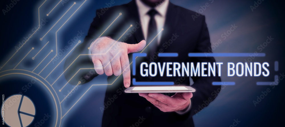 Hand writing sign Government Bonds. Business concept reverse the ...