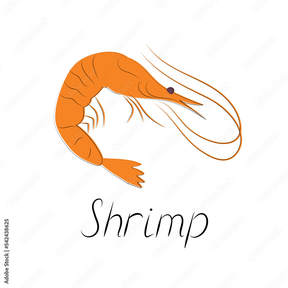 Shrimp prawn illustration and hand-written inscription. Vector logo ...