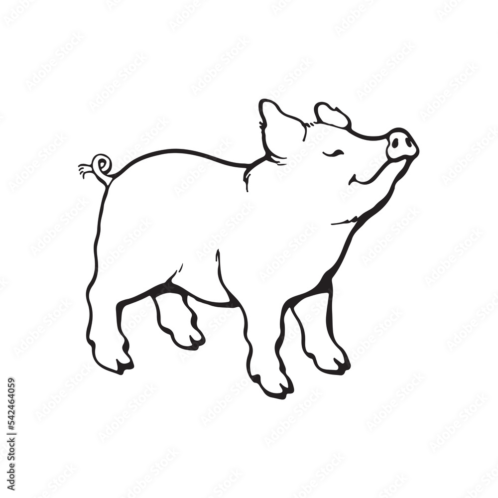 Pig PNG Format With Transparent Background Stock Illustration | Adobe Stock