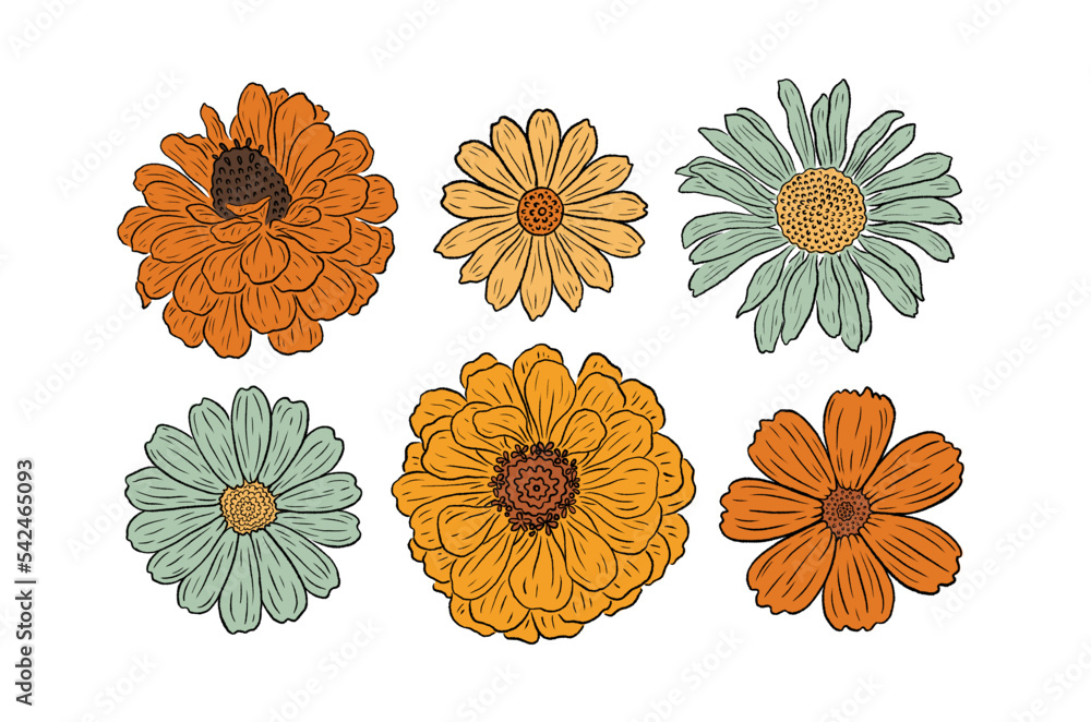 Retro Groovy Flower Set. Botanical vintage collection. Design for ...